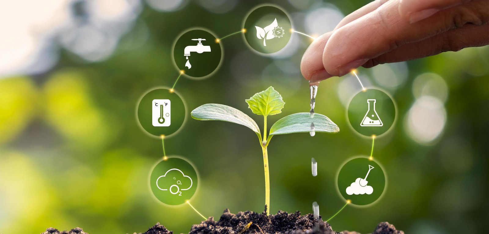 Home | MSS-Modern Scientific Supplies | Jordan